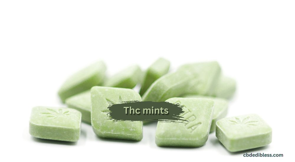 THC Mints The Fresh, Discreet Way to Enjoy Cannabis - cbdedibless